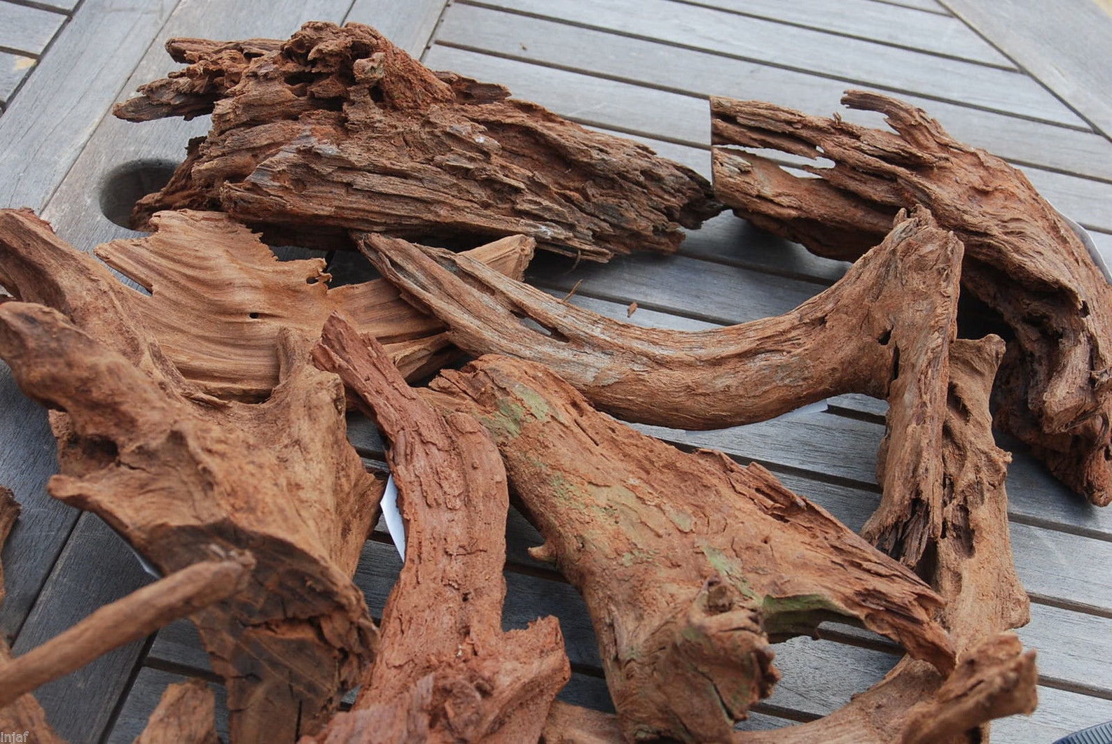 CHEAP Random BOGWOOD (20-30cm) - Fish Tank Root - for Java Fern Moss ...