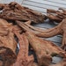 CHEAP Random BOGWOOD (20-30cm) - Fish Tank Root - for Java Fern Moss ...