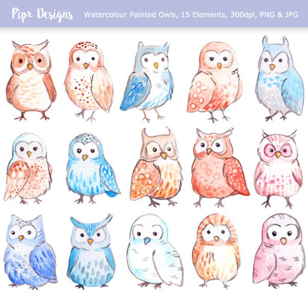 Cute Owls Clip Art - Etsy