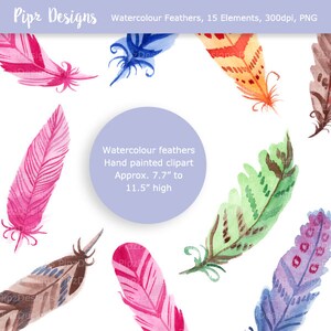 Watercolor Feathers Clipart 15 Hand-painted Watercolour Clip Art Images ...
