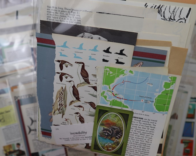 BOGO Vintage Nature Science Scrap Pack 50 Piece Vintage Clippings, Map ...