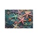 Starfish Jigsaw Puzzle for Adults, Colorful Underwater Life, Jigsaw ...