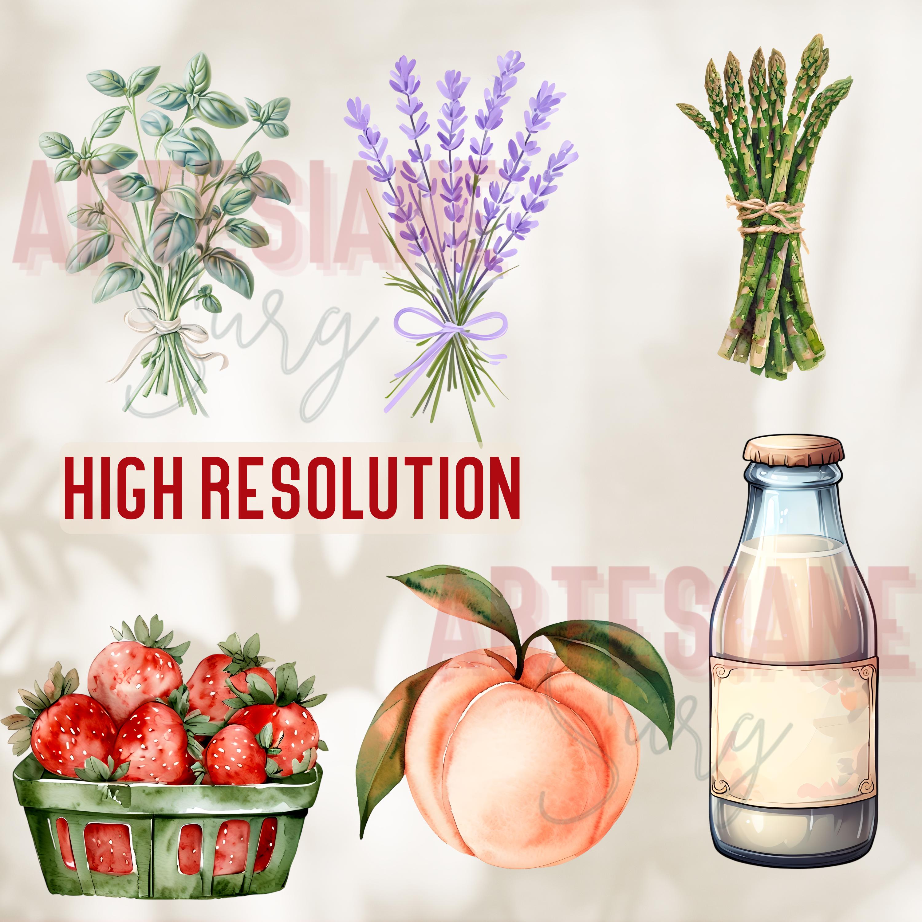 Farmers Market Clipart Bundle | Cute Fruit Clipart 41 PNG Graphics ...