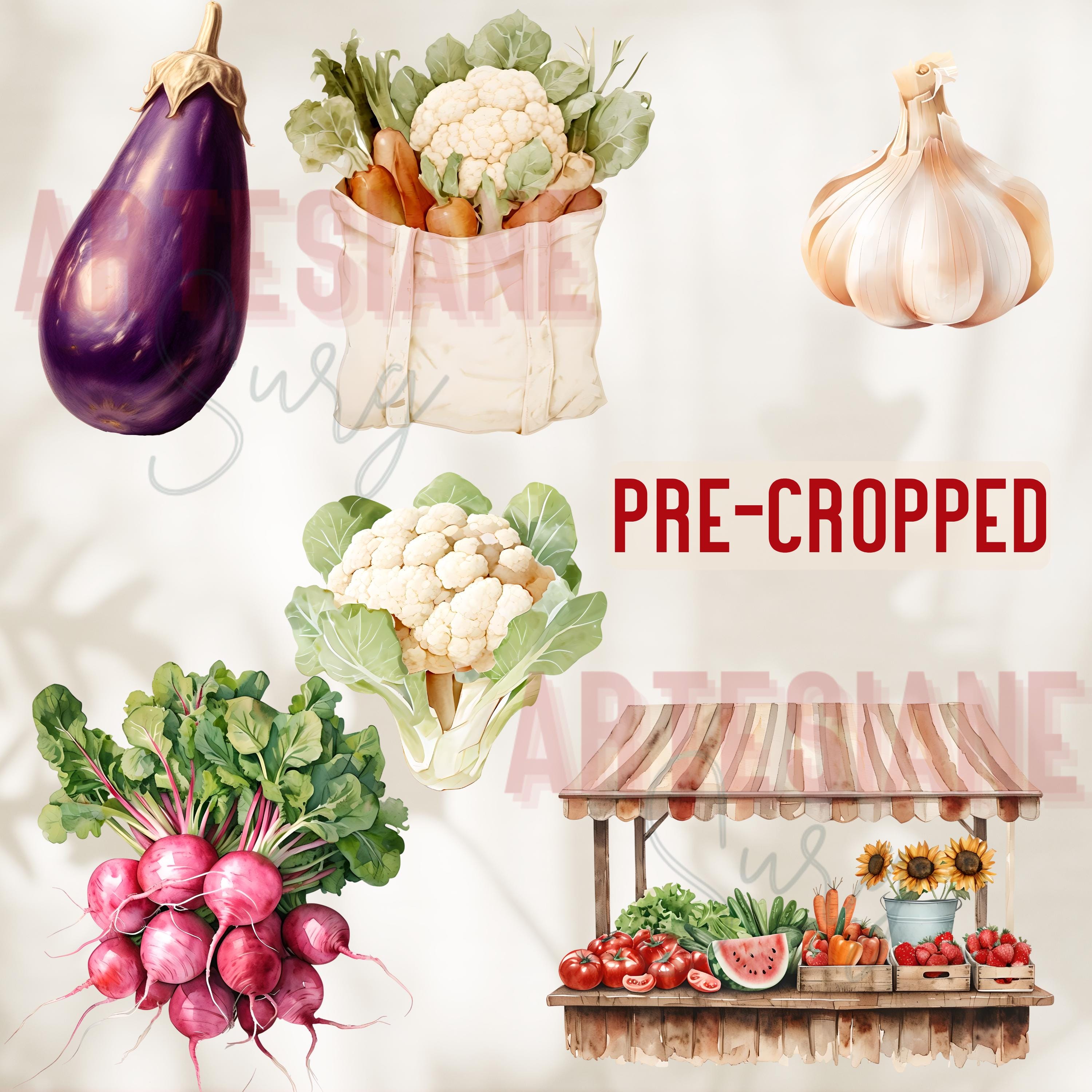 Farmers Market Clipart Bundle | Cute Fruit Clipart 41 PNG Graphics ...