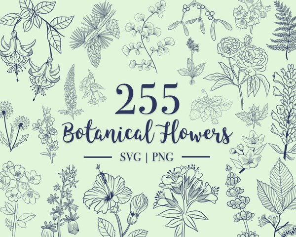 Lilac Line Art, Flower Line Art, Botanical Clipart, SVG, Hand Drawn ...