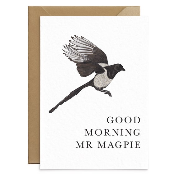 Mr Magpie