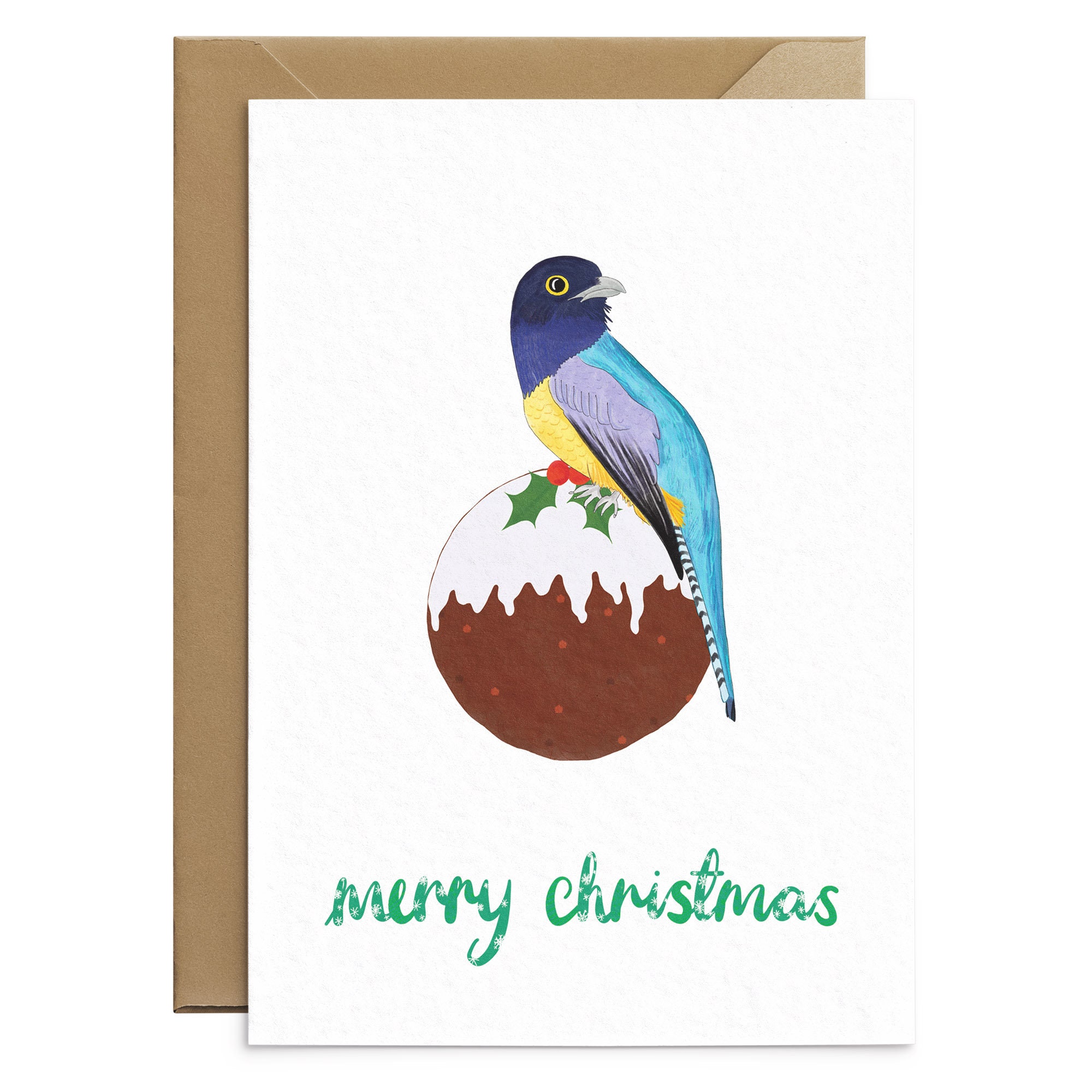 Funny Bird Christmas Cards Set of 6 Flamingo Christmas - Etsy UK