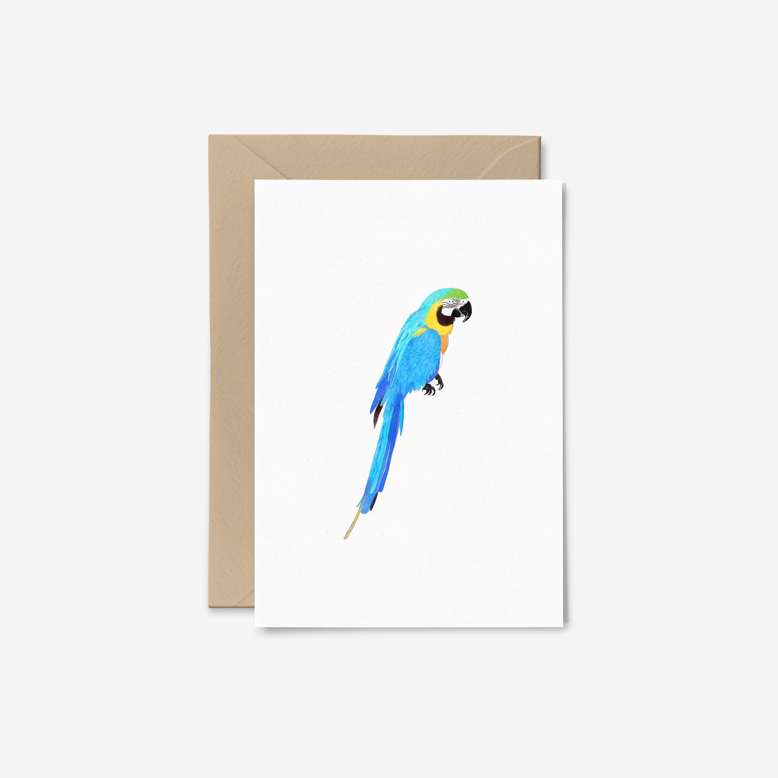 Parrot Card Tropical Bird Card Macaw Card Bird Thank You | Etsy