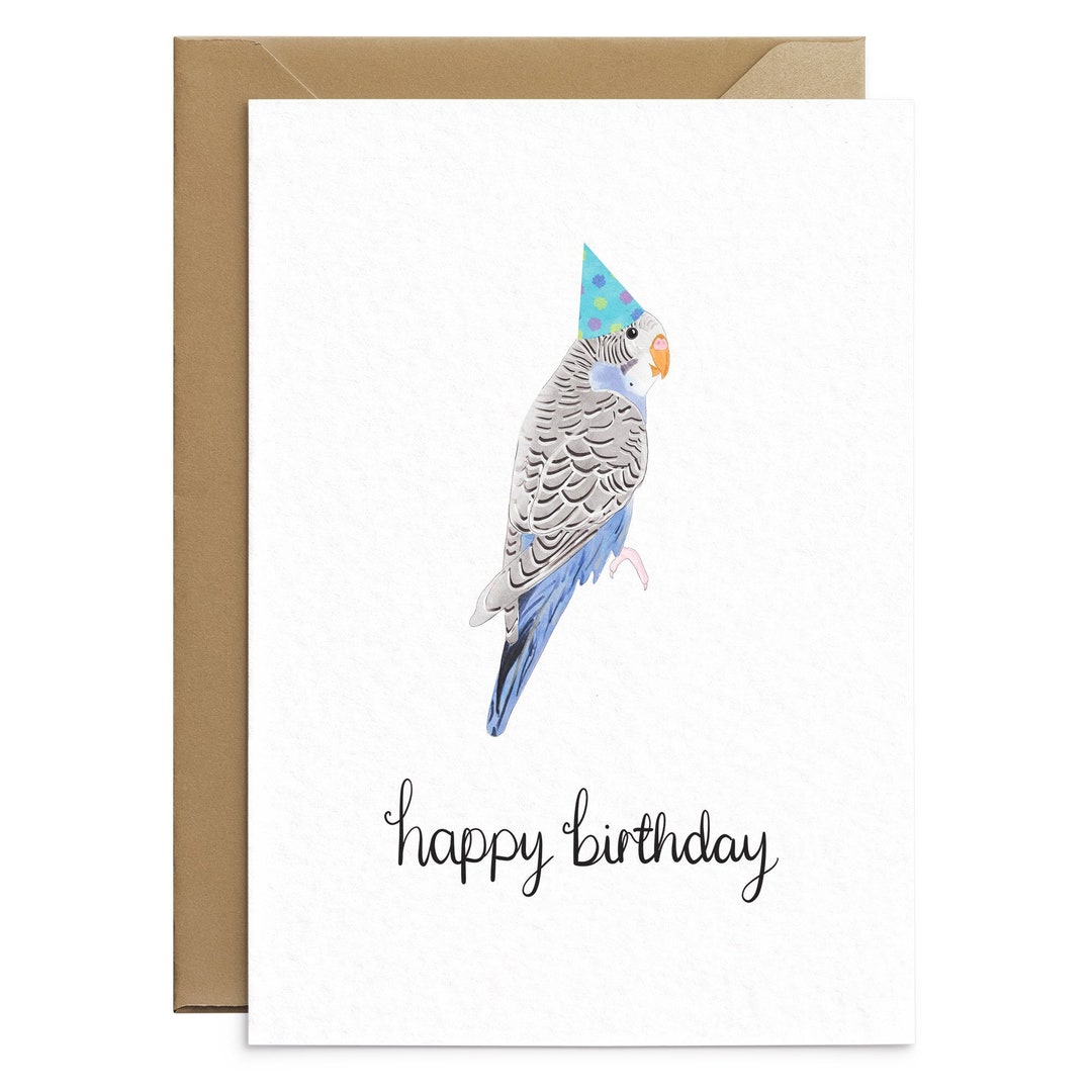 Budgie Birthday Card Cute Party Budgerigar Card Cute Bird Etsy