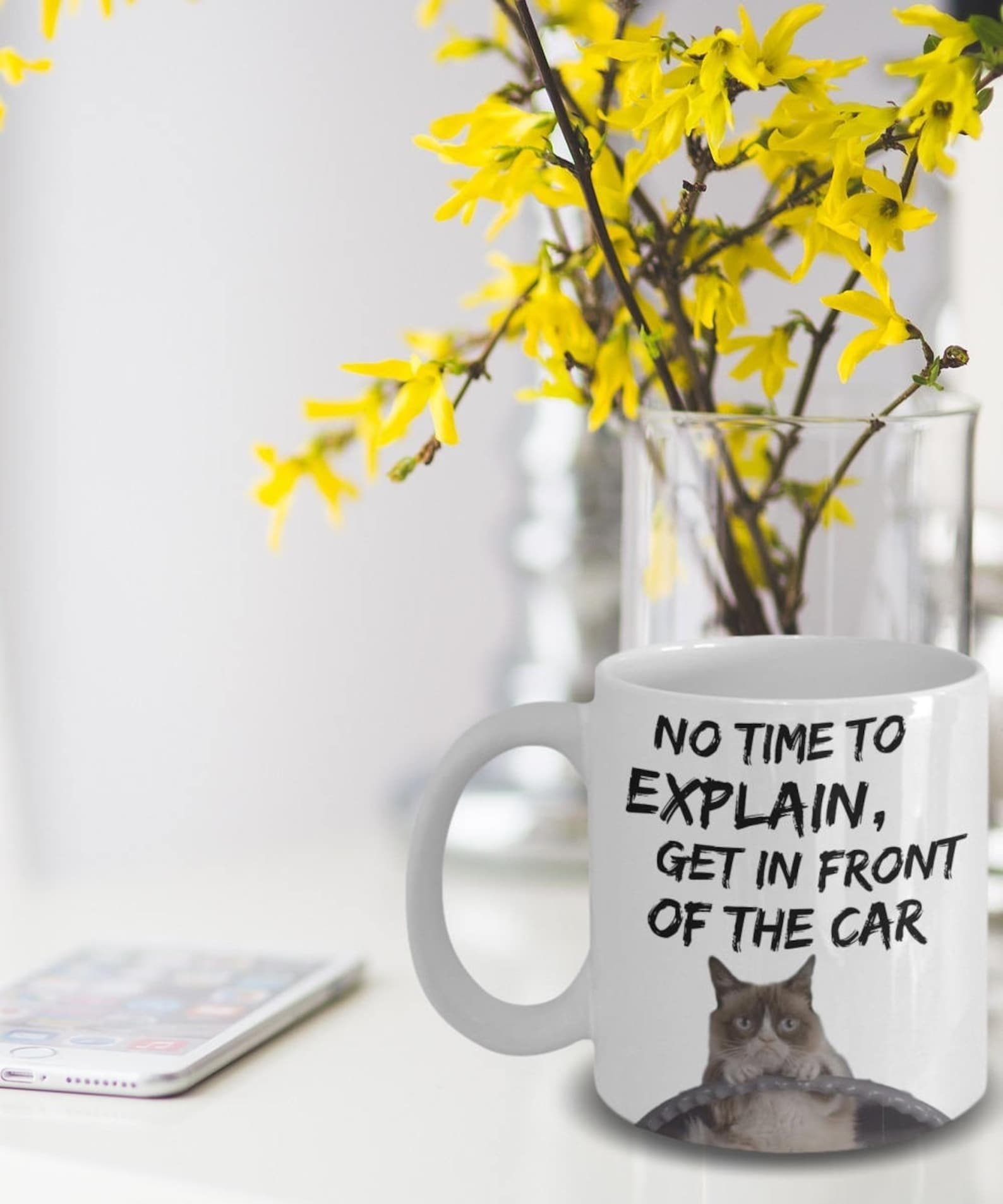 Grumpy Cat Meme Mug funny Grumpy Cat Mug No Time to - Etsy Canada