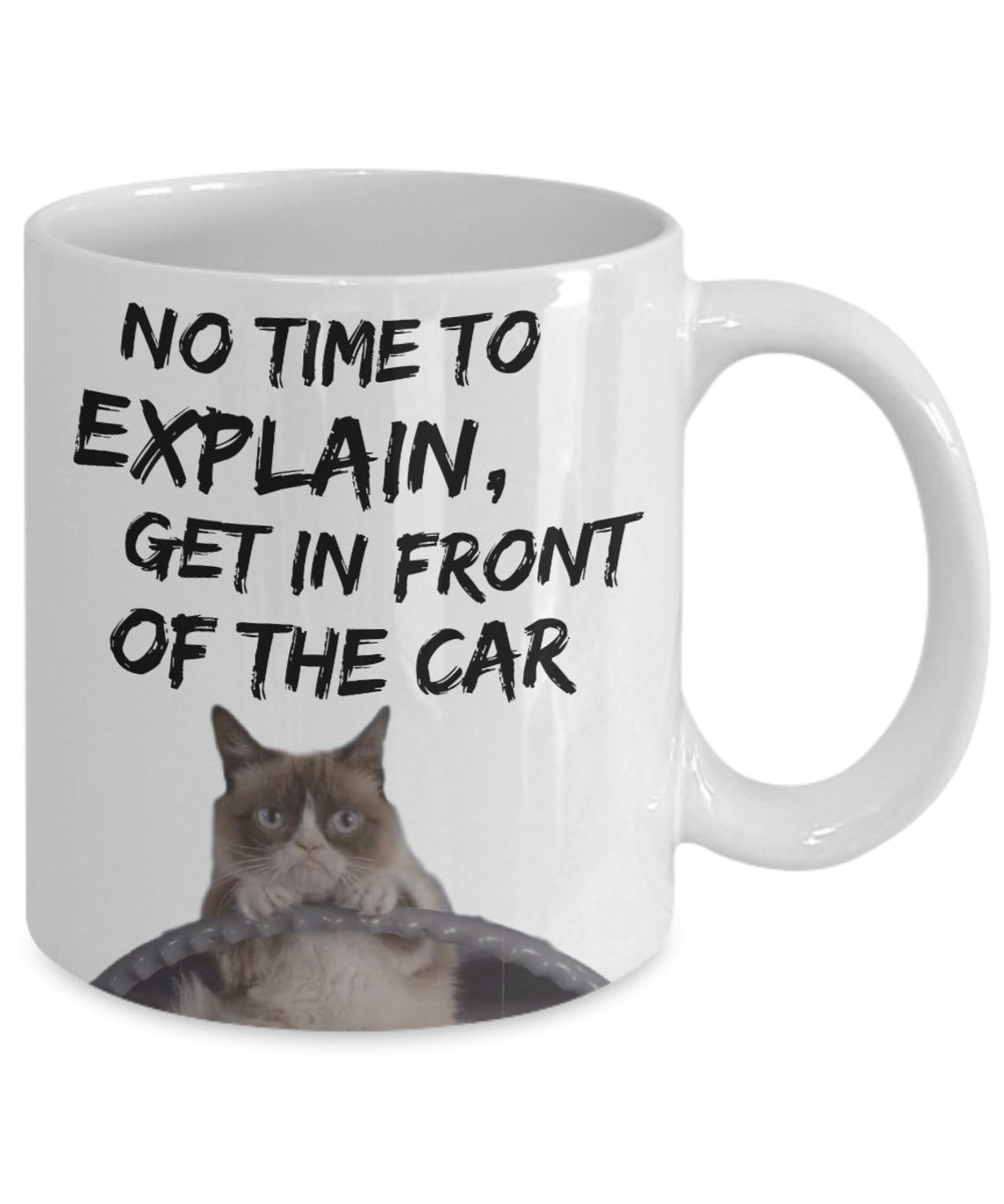 Grumpy Cat Meme Mug funny Grumpy Cat Mug No Time to - Etsy Canada