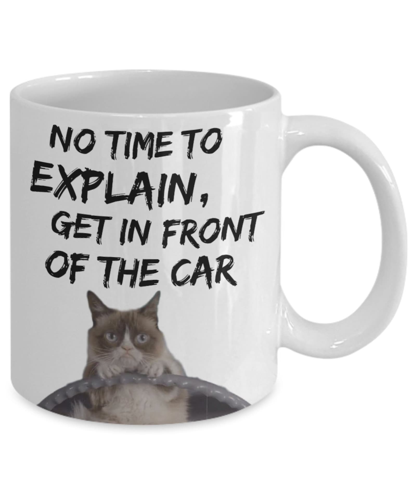 Grumpy Cat Meme Mug funny Grumpy Cat Mug No Time to - Etsy Canada