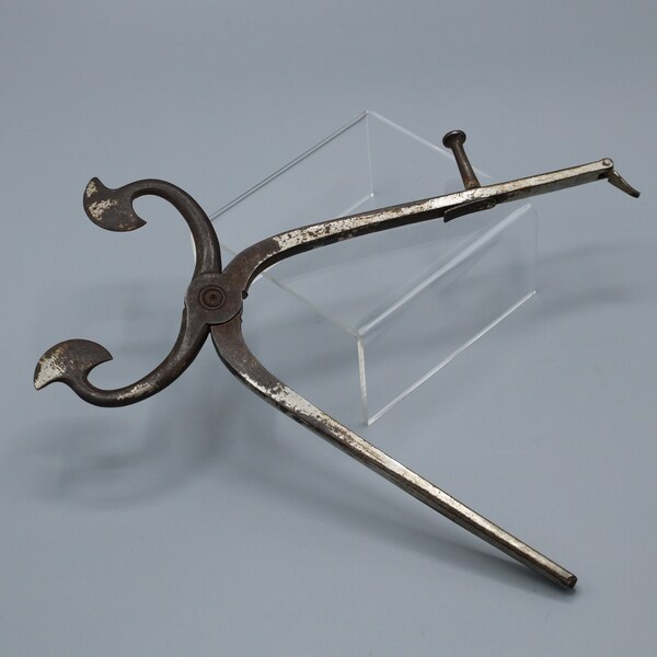 Antique Sugar Cutter - Etsy