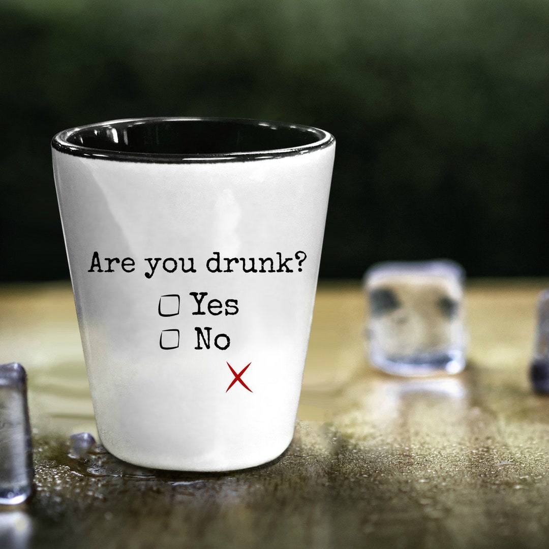 Funny Shot Glass Bar Ts Products Shot Glasses Are You Drunk Checklist Novelty Barware