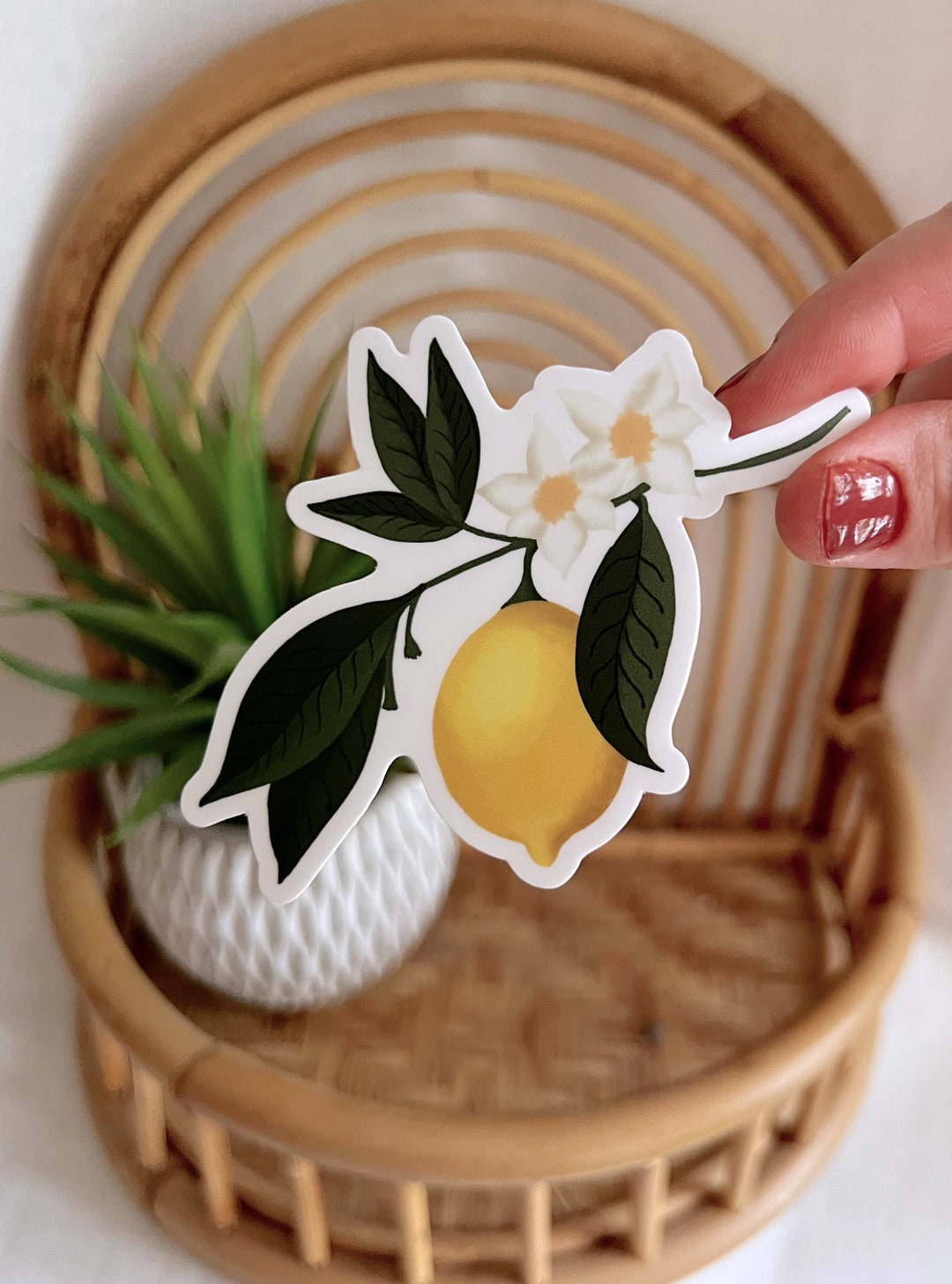 Lemon Sticker, Amalfi Coast, Italy, Lemon, Positano, Amalfi Citrus ...