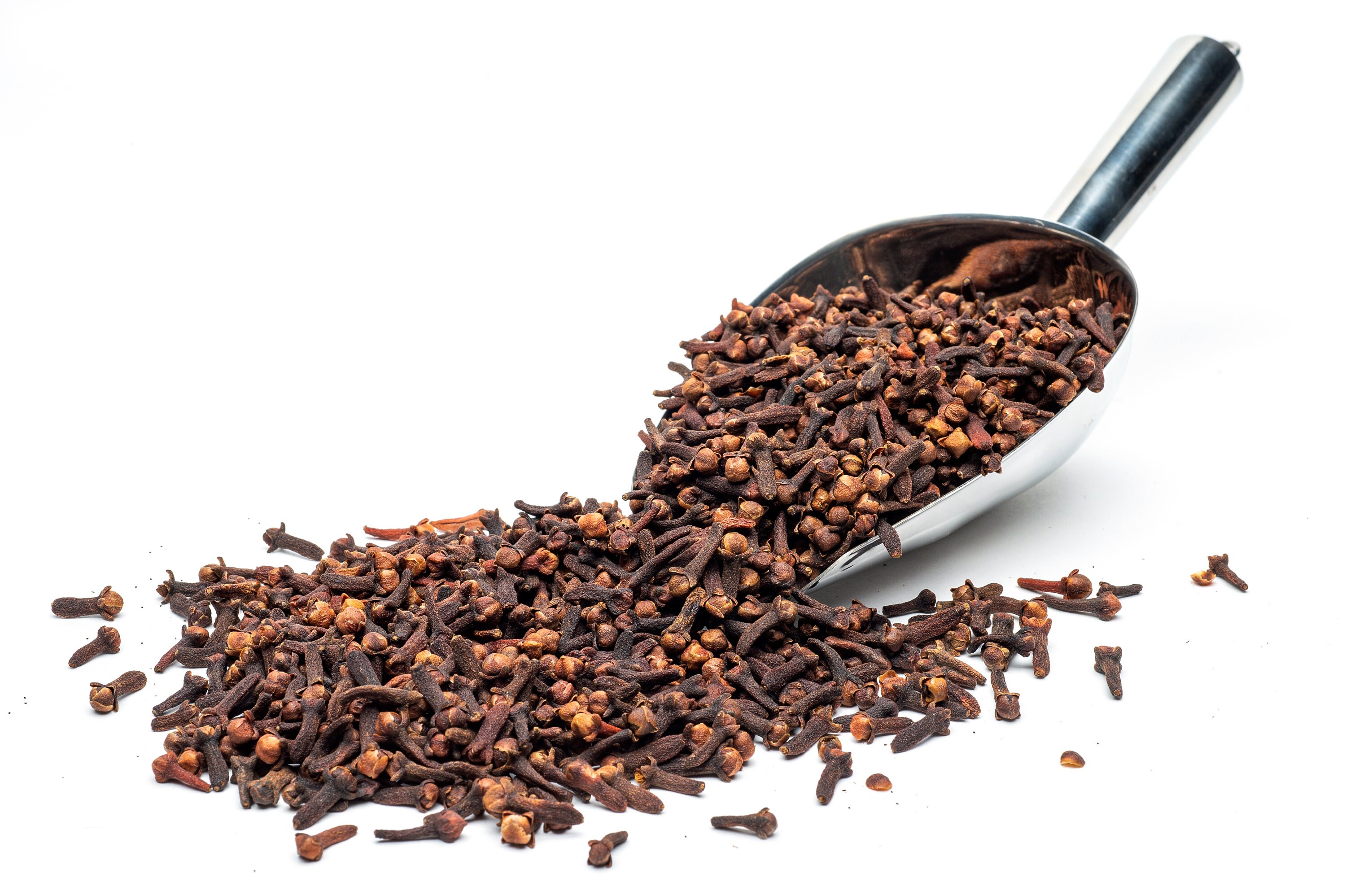 Whole Cloves Hand Picked Cloves from Sri Lanka | Etsy