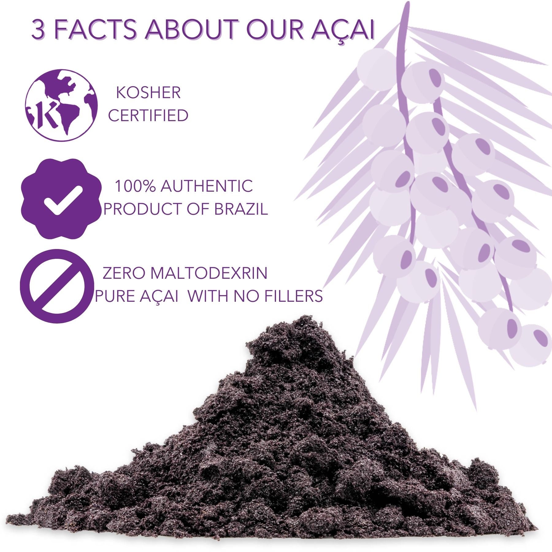 Açaí Freeze Dried Açaí Powder Pure Açaí | Etsy