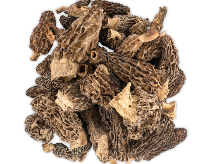Giant Morel Mushroom for Landscape, Flower Bed or Garden. Handmade ...