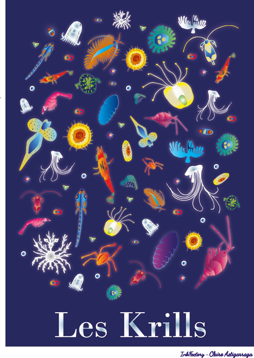 Map A5 KRILLS. Series fauna of the Deep - Etsy