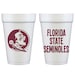 Florida State Seminoles Foam Cups - Tailgate Party Pack (10) - Etsy