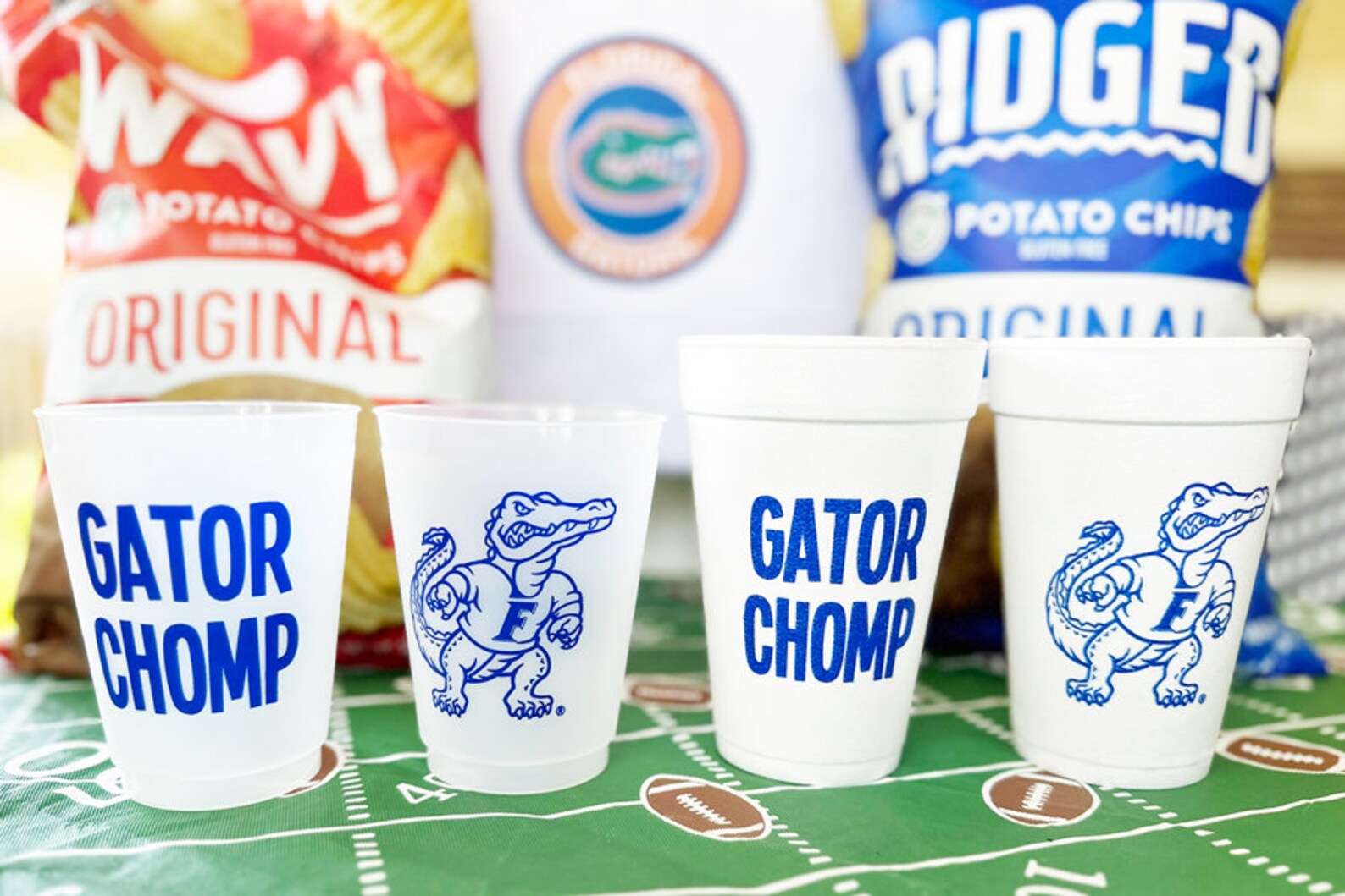 University of Florida Campus Skyline Frosted Roadie Cup 10 Pack - Etsy