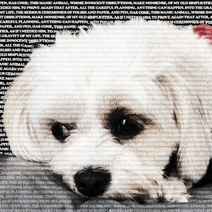 Pet Portrait, Pet Gift, Personalised Pet Lovers Gift, Pet Word Art ...