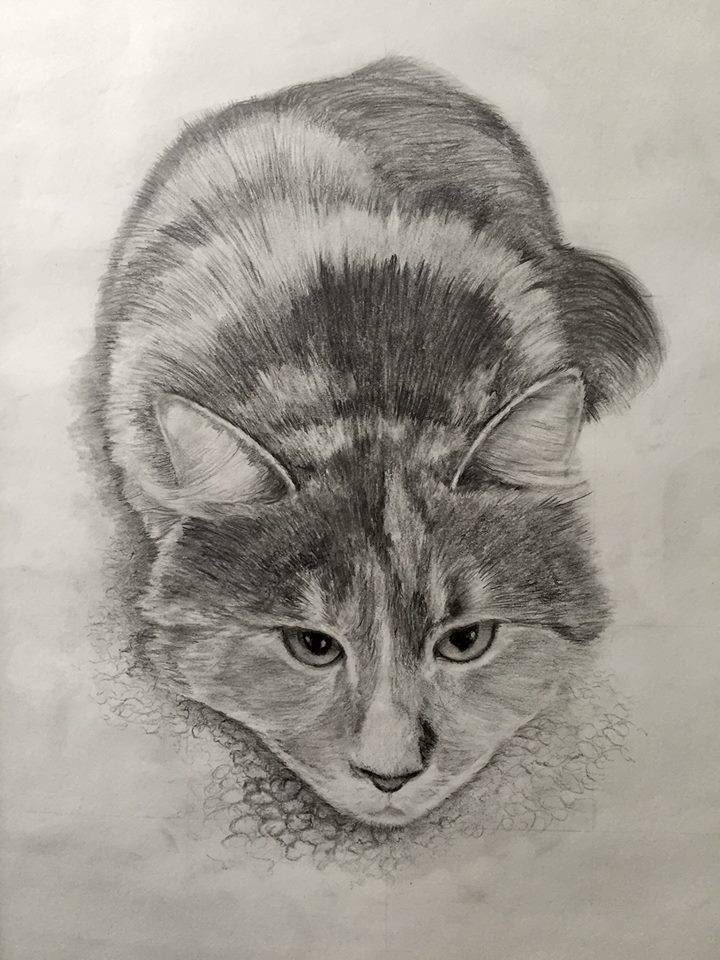Drawing, Pencil, Portrait, Animal - Etsy