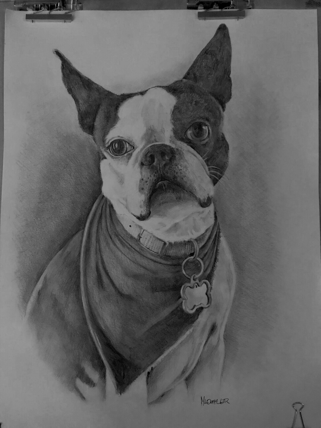 Drawing, Pencil, Portrait, Animal - Etsy