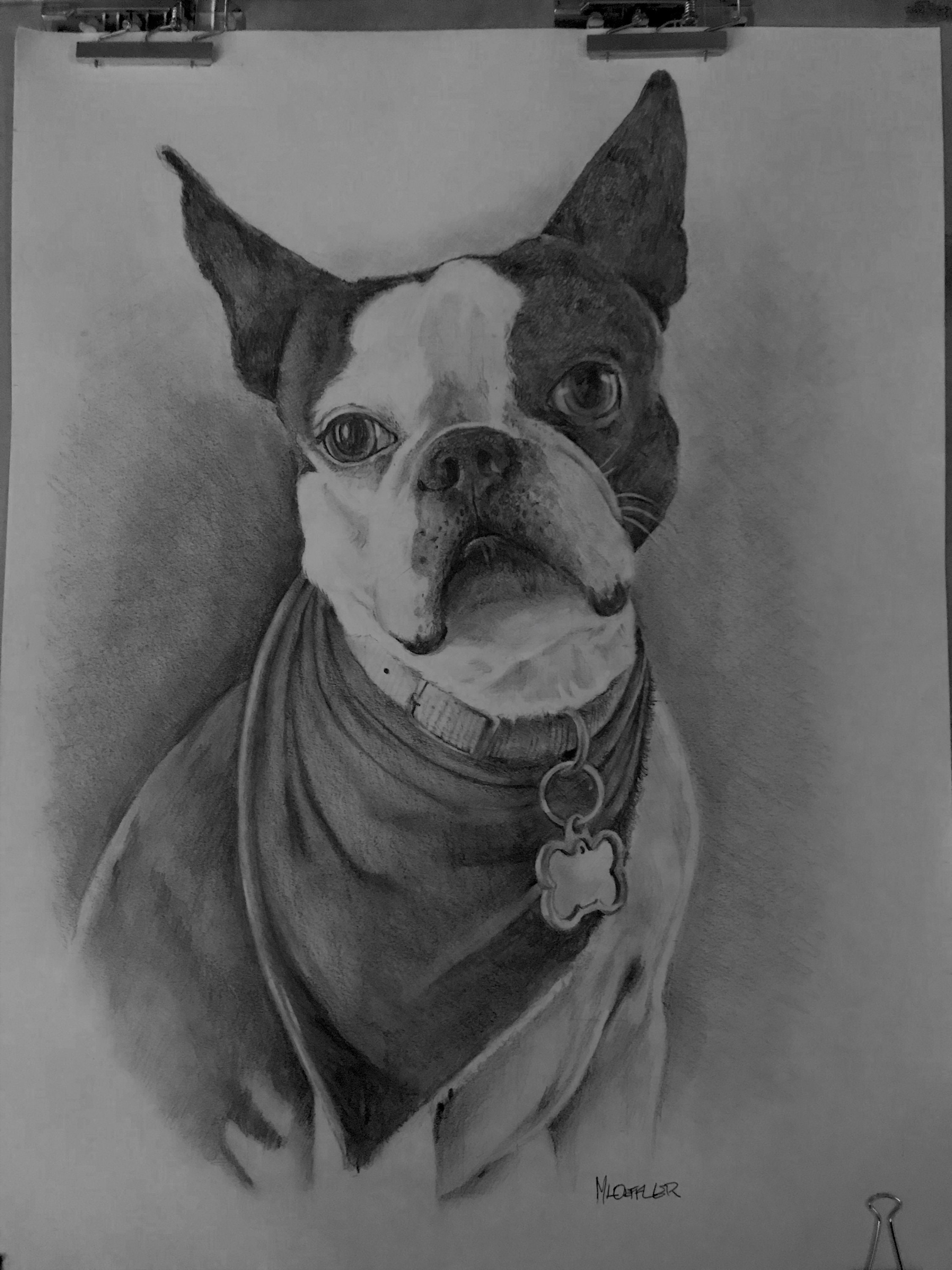 Drawing, Pencil, Portrait, Animal - Etsy