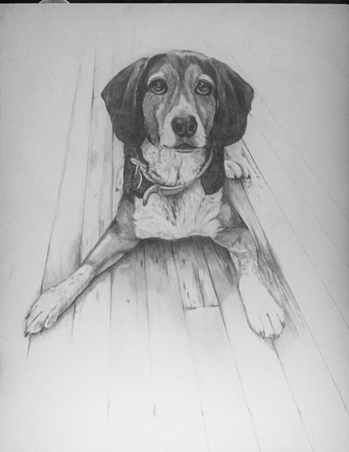 Drawing, Pencil, Portrait, Animal - Etsy