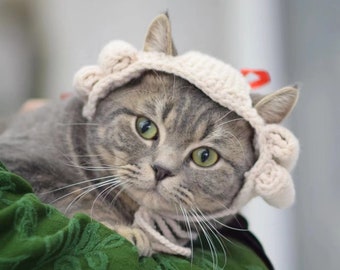 Pet Hats & Wigs - Etsy