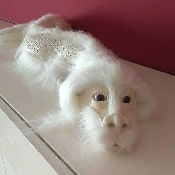 Falkor Plush - Etsy