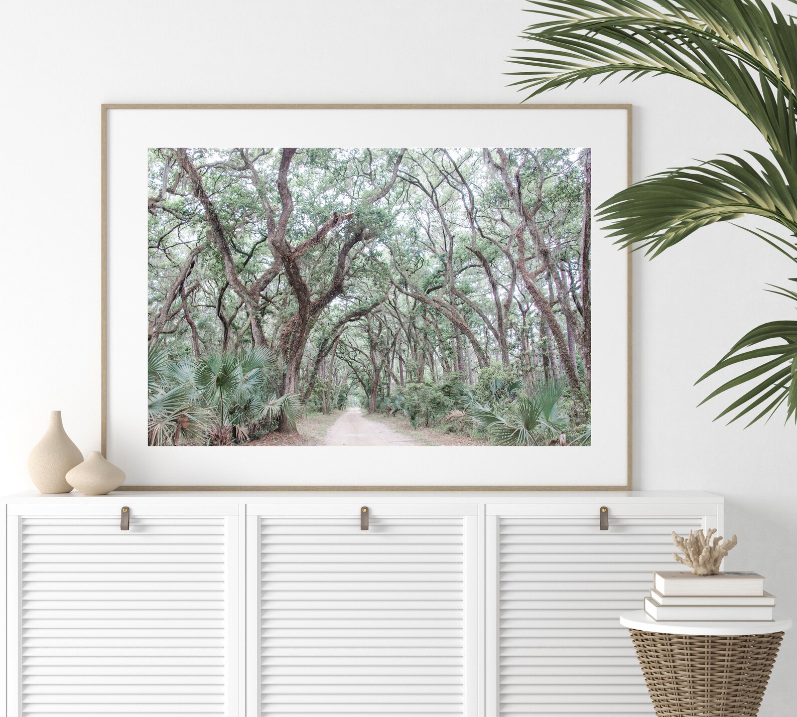 Low Country Trees Palmetto Bluff South Carolina Travel | Etsy