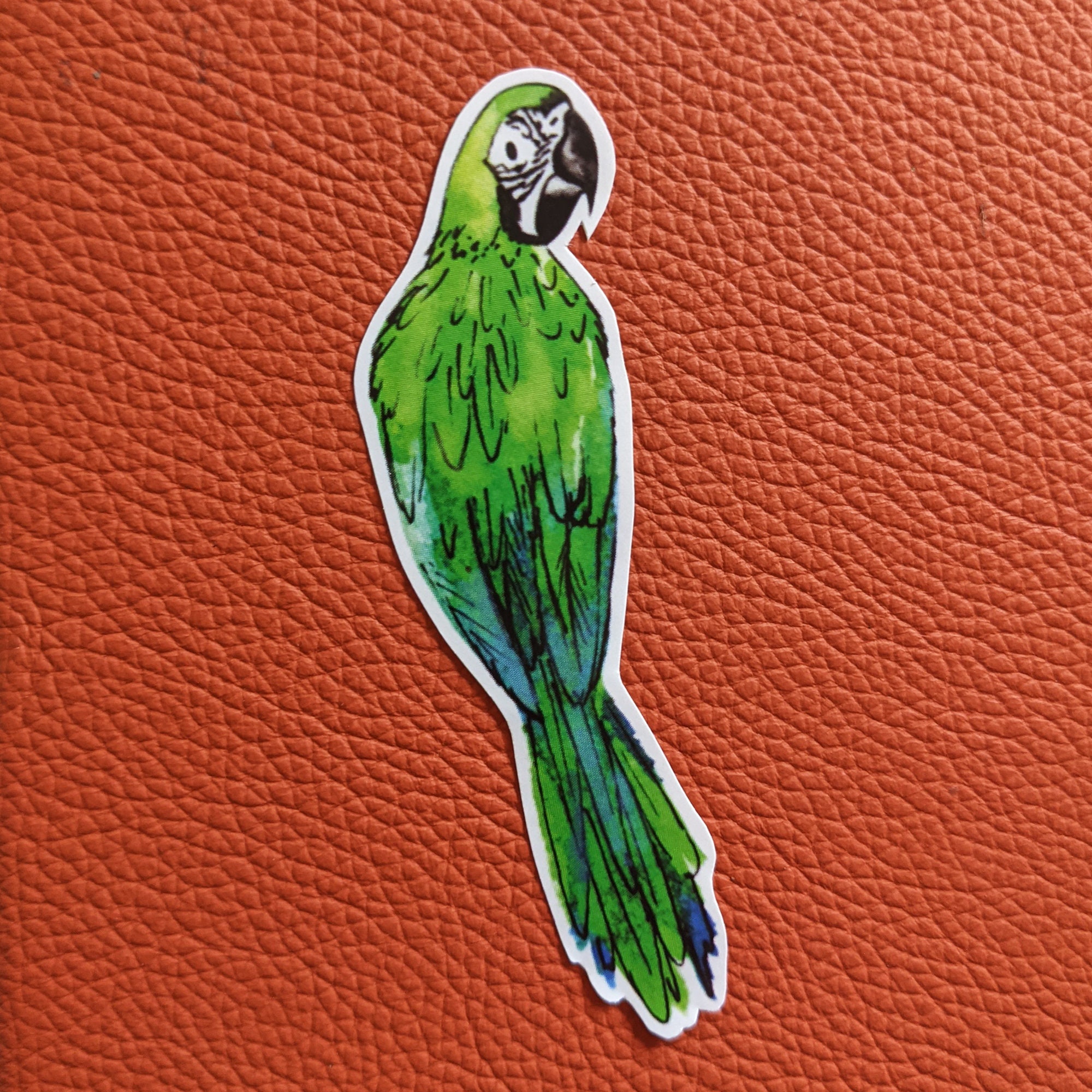 Tropical Birds Set of 5 Stickers, Hummingbird, Toucan, Parrot, Flamingo ...