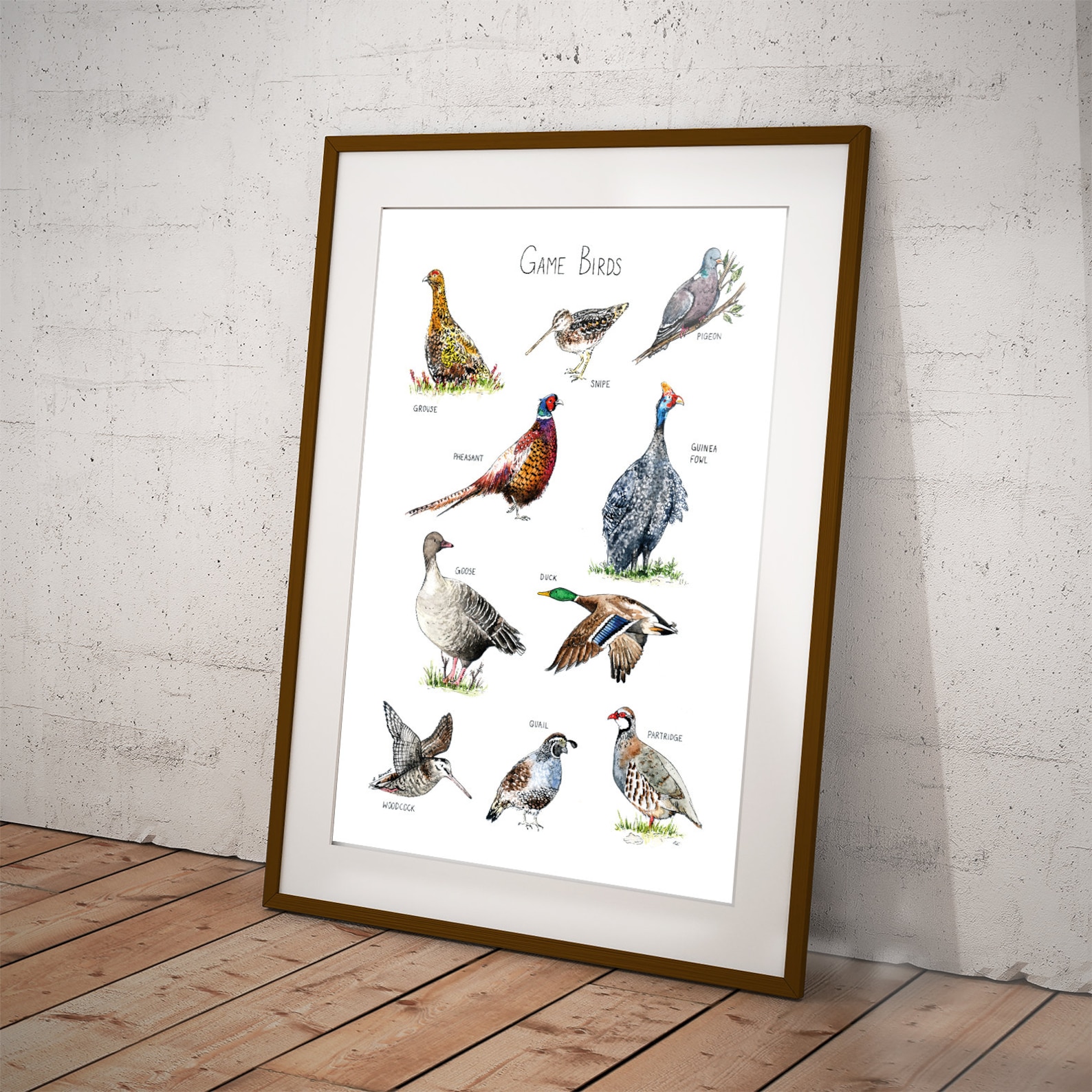 Game Birds British Game Birds Painting Giclee Print Birds | Etsy