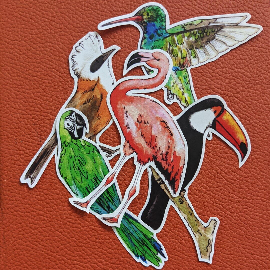 Tropical Birds Set of 5 Stickers, Hummingbird, Toucan, Parrot, Flamingo ...