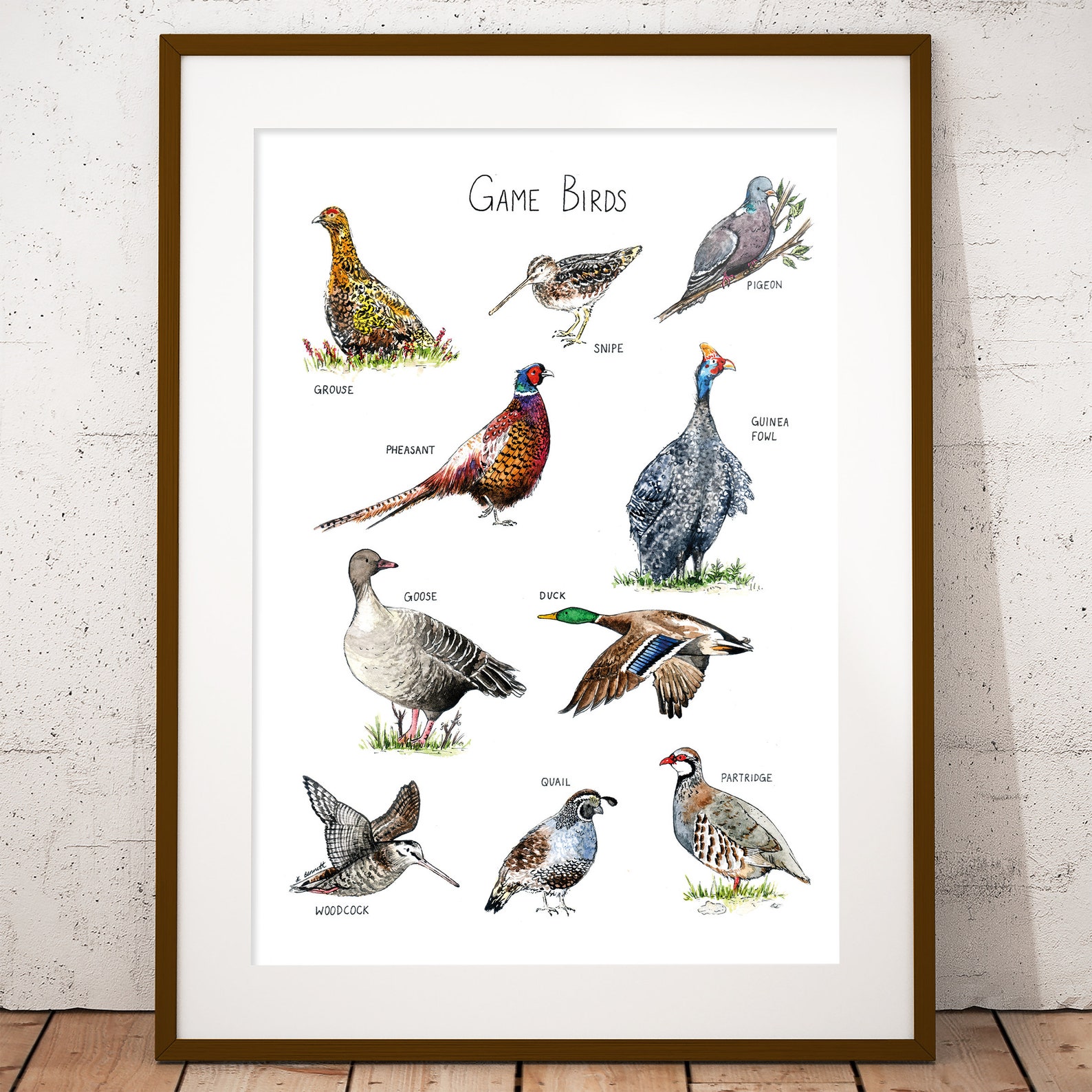 Game Birds British Game Birds Painting Giclee Print Birds - Etsy UK