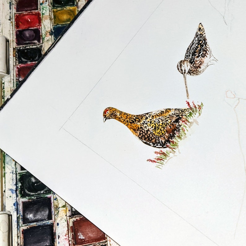 Game Birds British Game Birds Painting Giclee Print Birds | Etsy UK