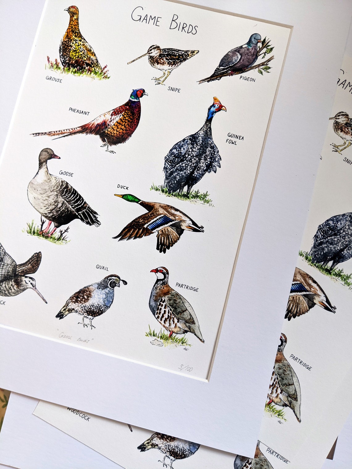 Game Birds British Game Birds Painting Giclee Print Birds | Etsy