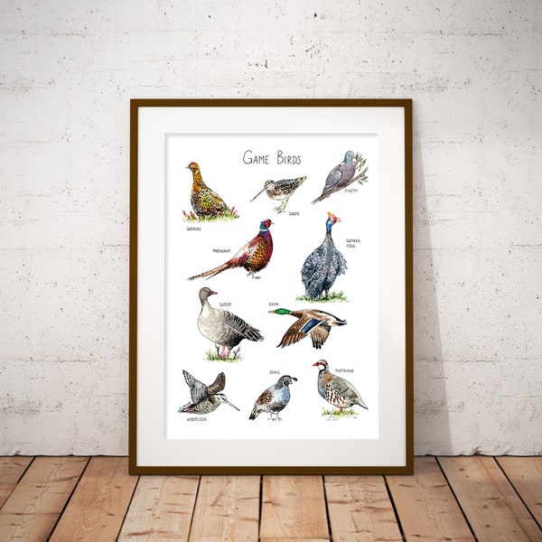 British Birds Poster - Etsy UK