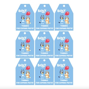 Bluey Inspired Favour Tags, Handmade Birthday Party Gifts Baby Toddler ...