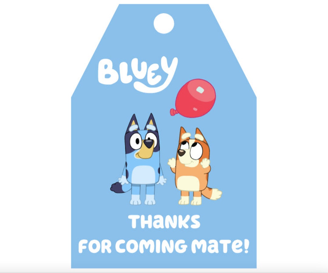 Bluey Inspired Favour Tags, Handmade Birthday Party Gifts Baby Toddler ...
