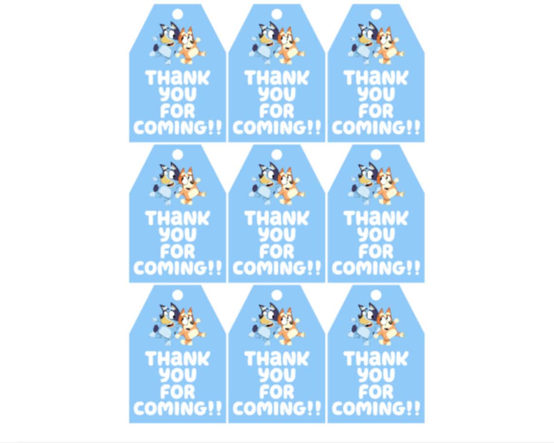 Bluey Inspired Favour Tags, Handmade Birthday Party Gifts Baby Toddler ...