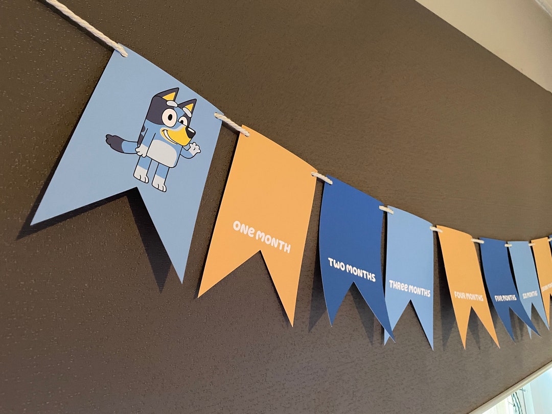 Bluey Inspired Photo Milestone Bunting, 1st First Birthday Party Sign ...