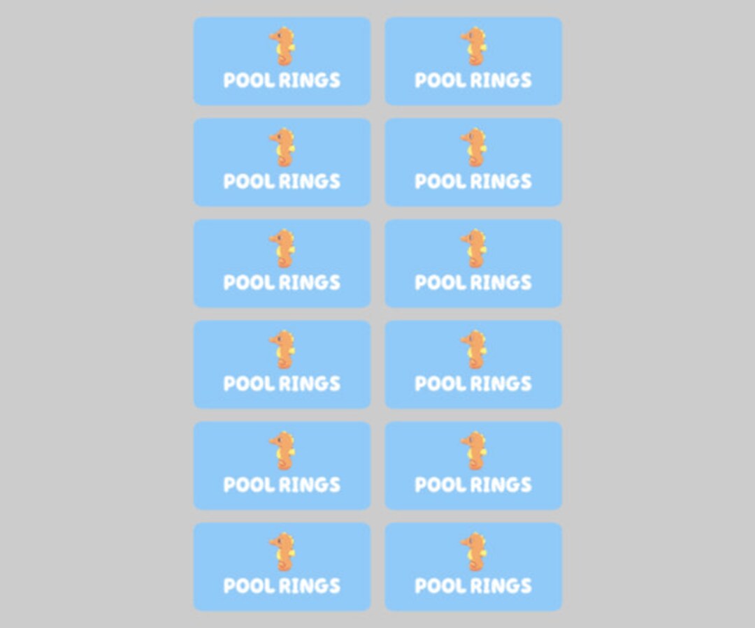 Bluey Inspired POOL RINGS Favour Stickers, Birthday Party Favour Label ...