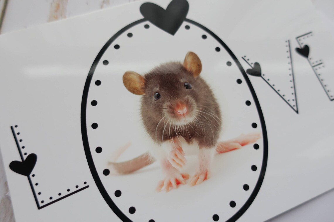 Dumbo Rat Valentines Card - Love Heart Photo (5x7 Blank Inside Card ...
