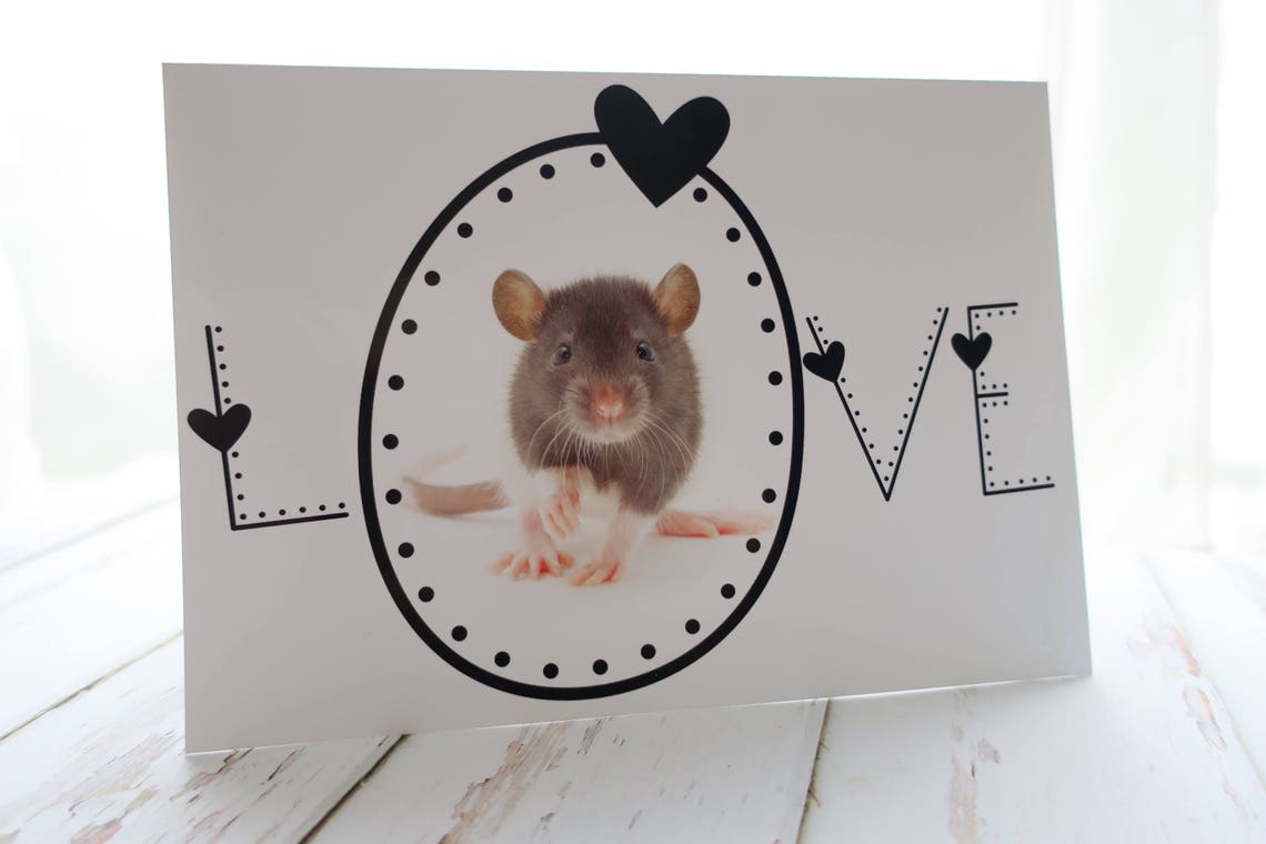 Dumbo Rat Valentines Card - Love Heart Photo (5x7 Blank Inside Card ...