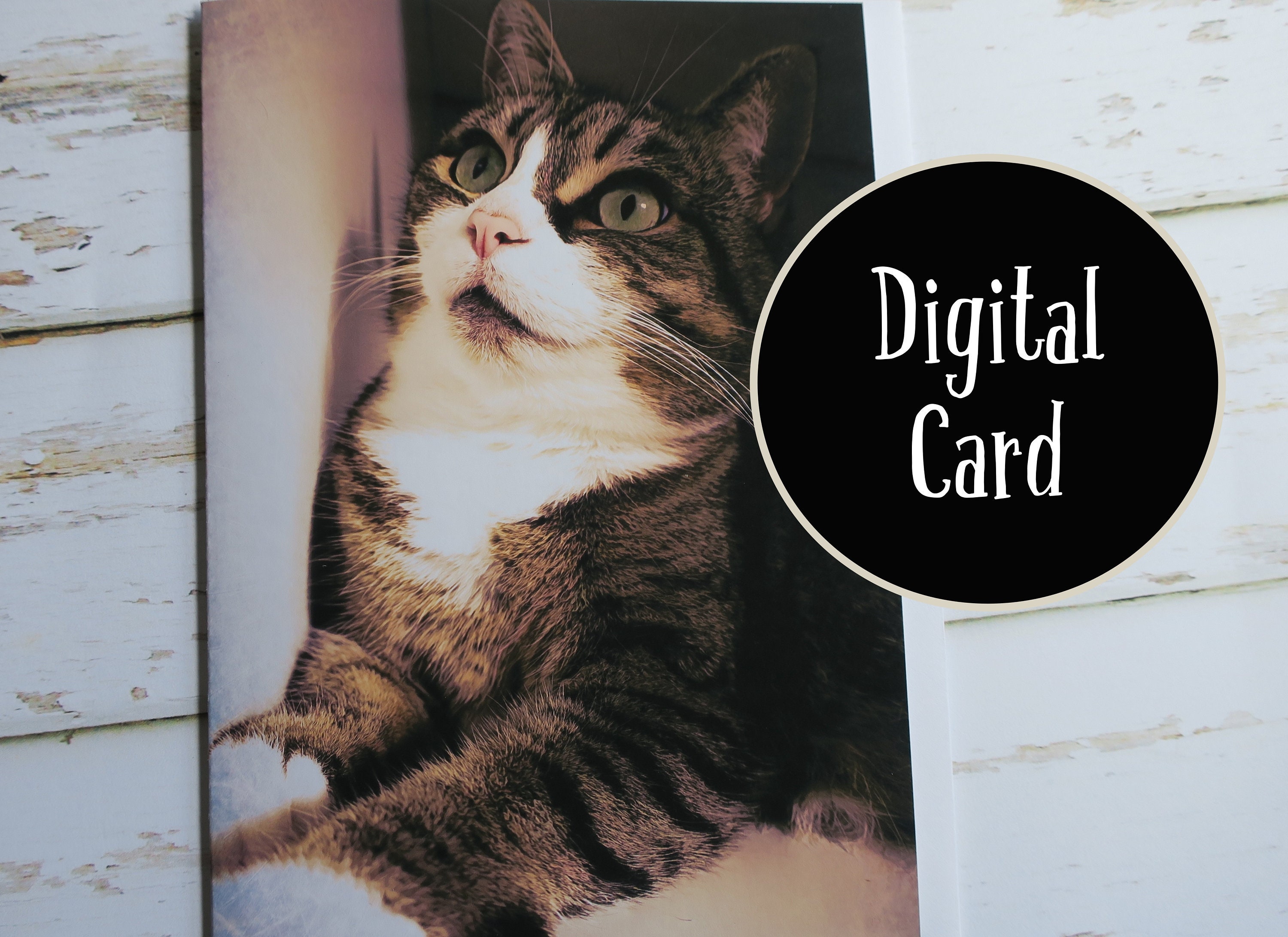 Printable Tabby Cat Sepia Greeting Card Blank Photographic Kitty Pet ...