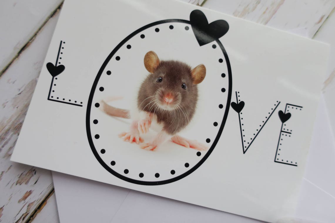 Dumbo Rat Valentines Card - Love Heart Photo (5x7 Blank Inside Card ...