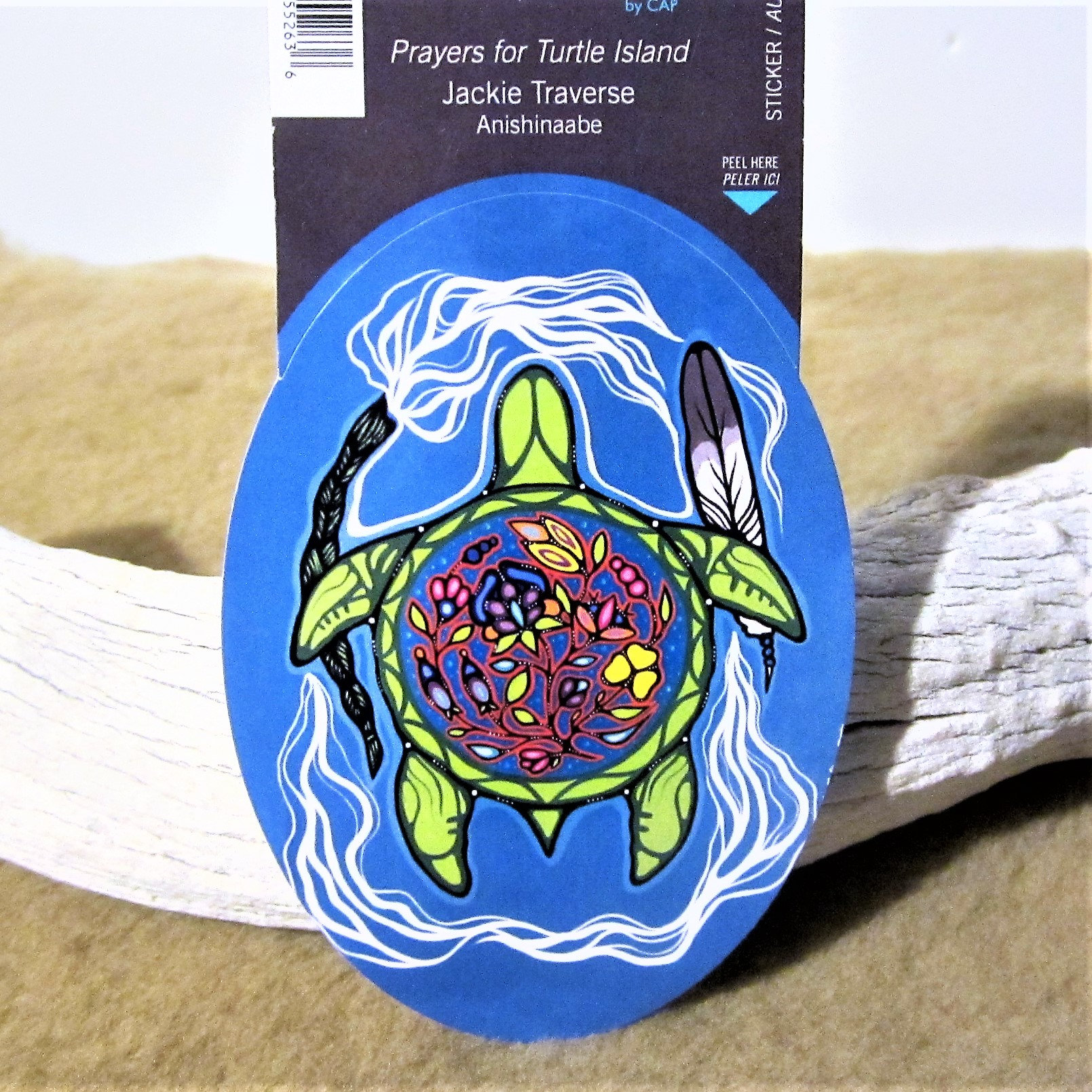 Anishinaabe Ojibway First Nation 'prayers for Turtle - Etsy